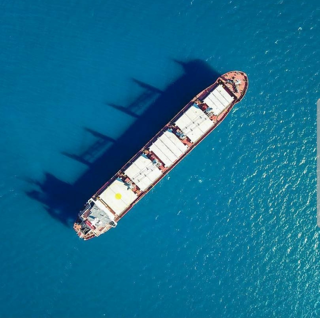 TC Management – SS FREIGHT SOLUTIONS BV.