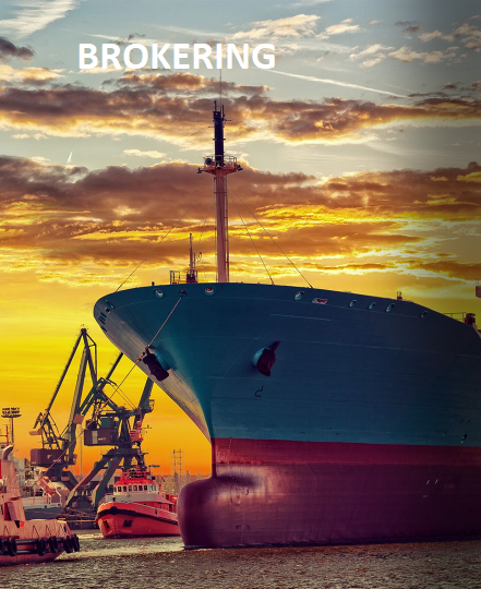 Our Services – SS FREIGHT SOLUTIONS BV.